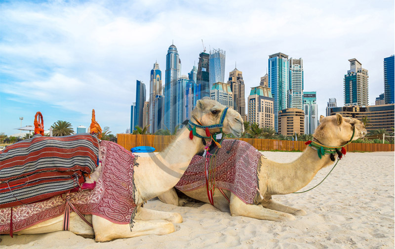 Viajes Dubai - Informacion